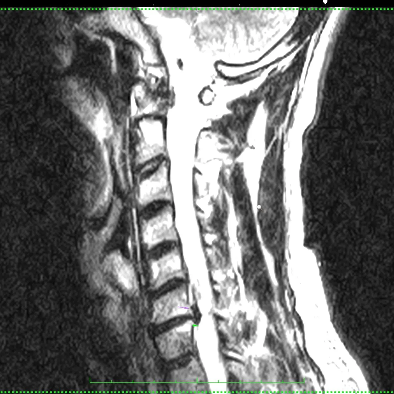 Clinical Expertise – Dr. Michael Fishman